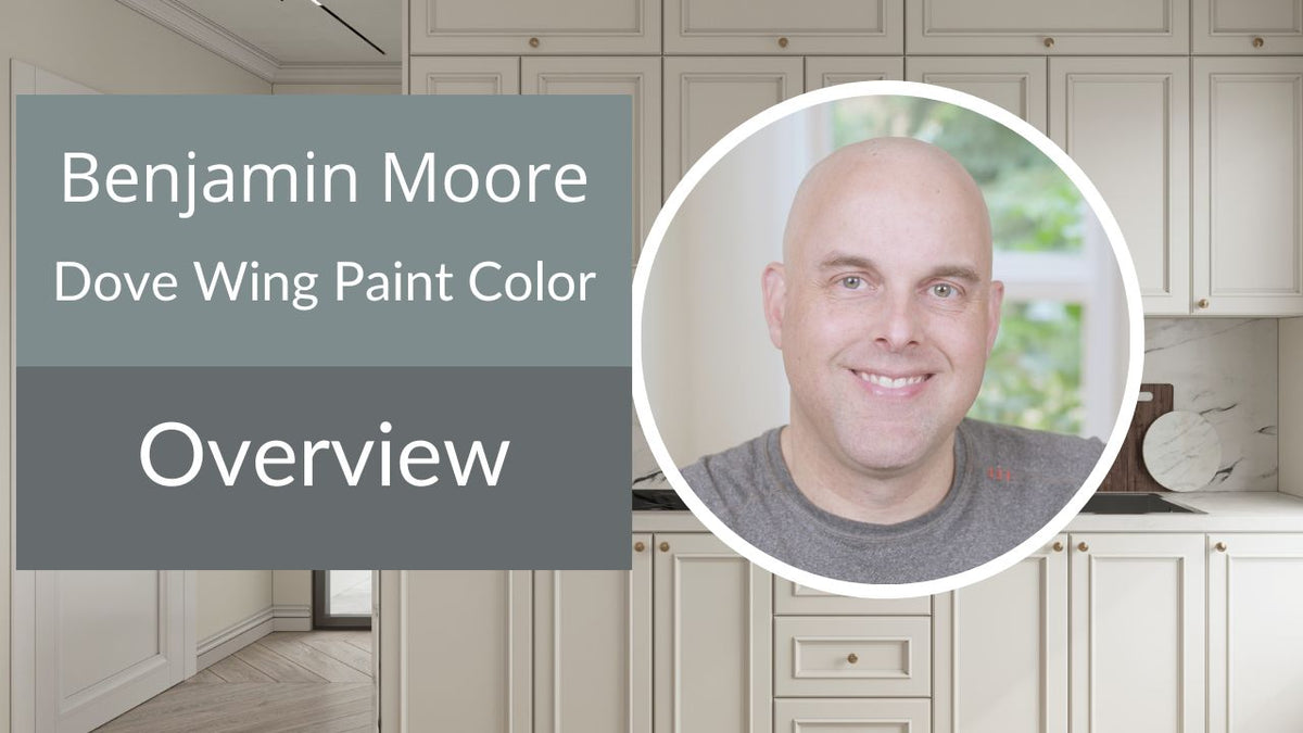 Benjamin Moore Dove Wing Overview – Jacob Owens Designs