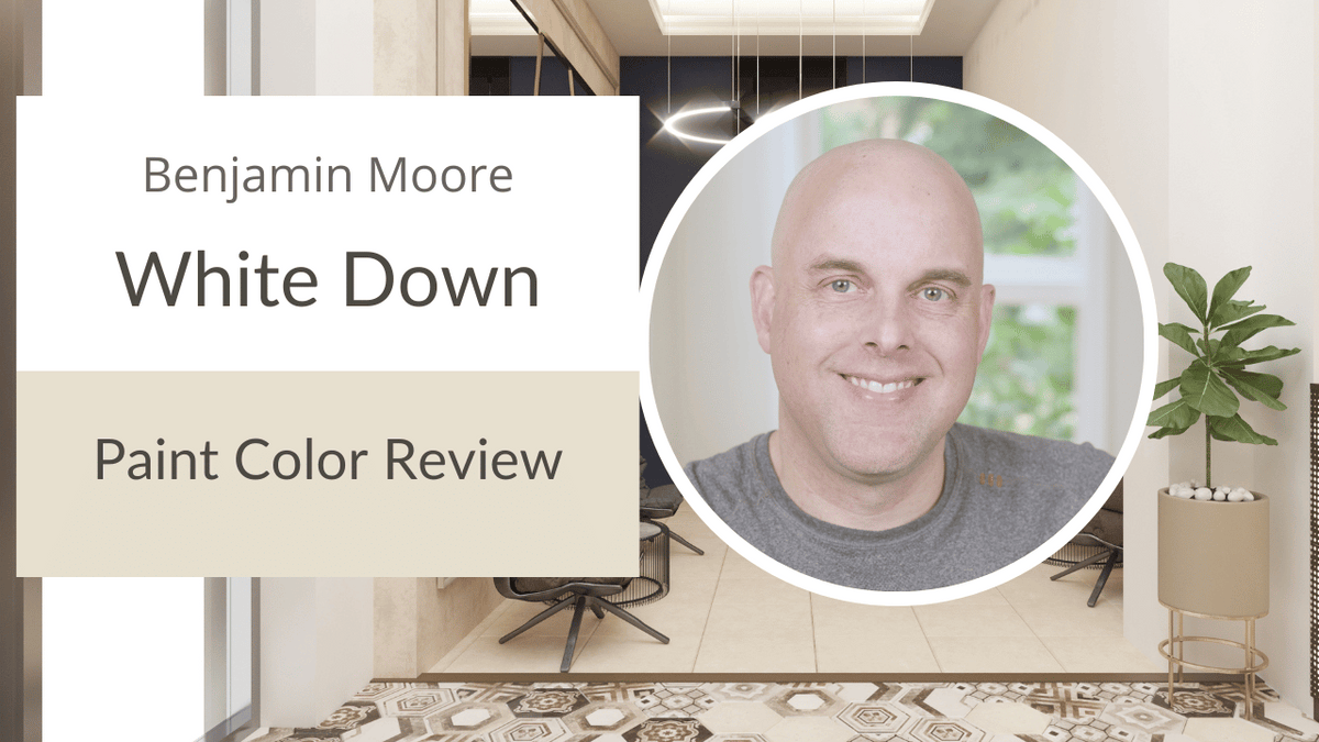 Benjamin Moore White Down Paint Color Review – Jacob Owens Designs