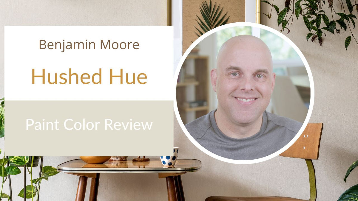 Benjamin Moore Hushed Hue Paint Color Review – Jacob Owens Designs