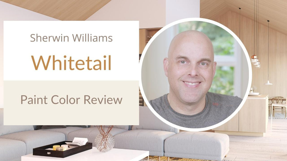 Sherwin Williams Whitetail Paint Color Review – Jacob Owens Designs